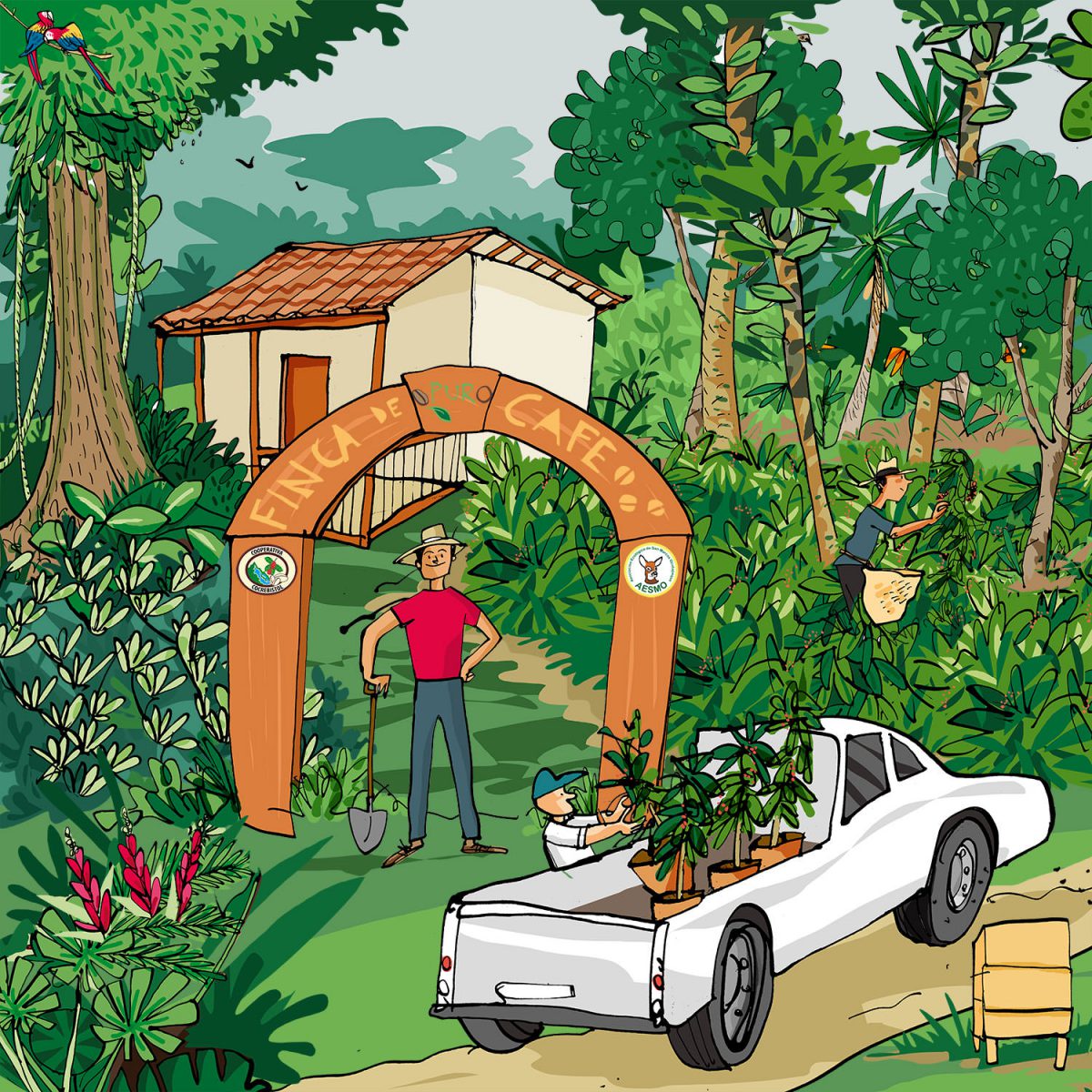 Finca de Puro Café - Puro Fairtrade Coffee